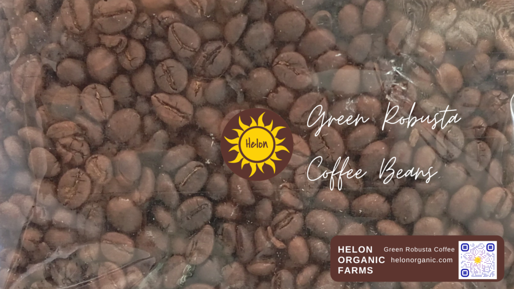 Green Coffee Beans Robusta – Helon Organic Farms